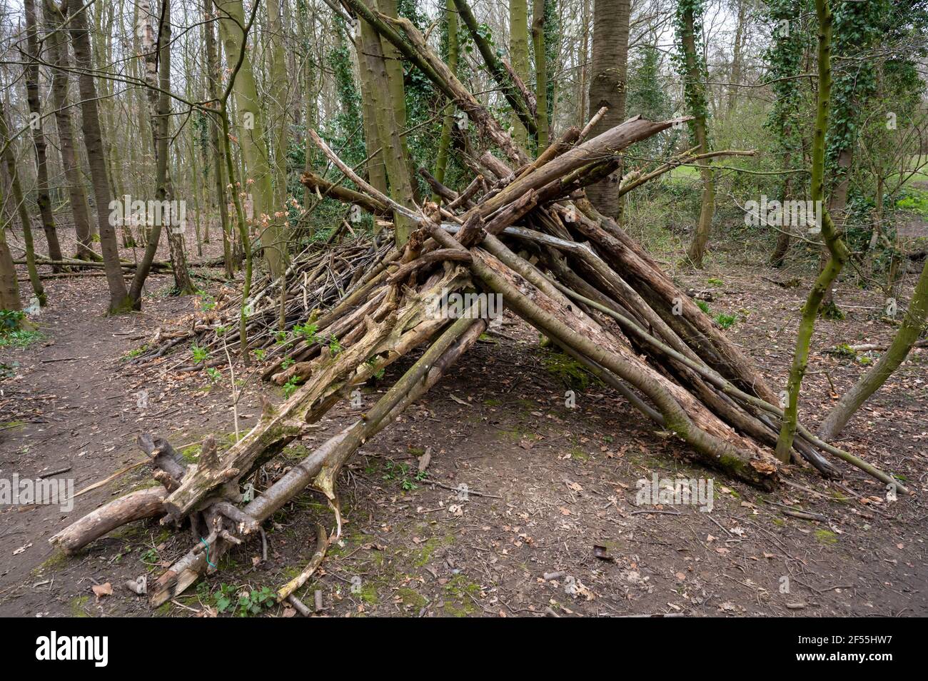 Wigwam bark hi-res stock photography and images - Alamy
