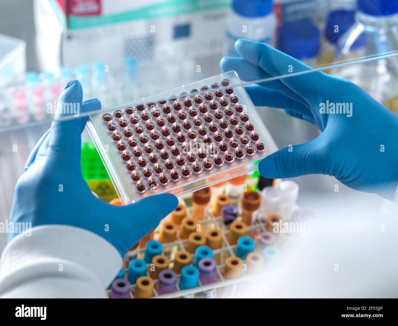 Male scientist holding blood samples in multi well plate at laboratory ...