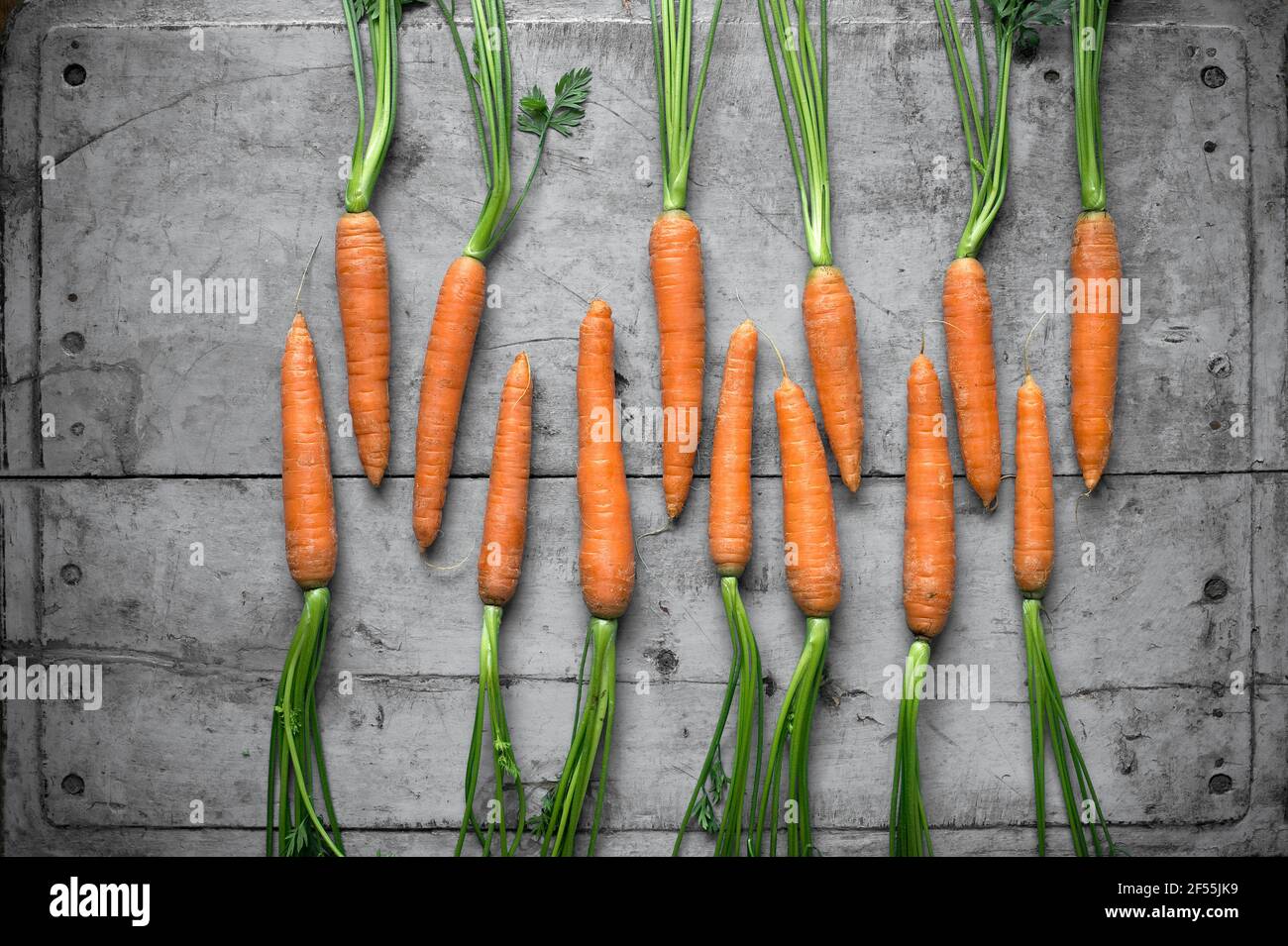 Row fresh freshness hi-res stock photography and images - Alamy
