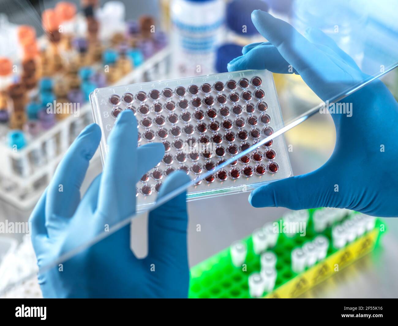 Scientists hands hi-res stock photography and images - Alamy
