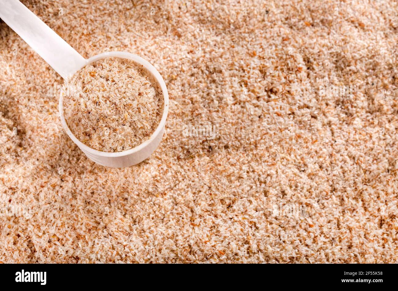 Organic psyllium husk - Plantago afra Stock Photo - Alamy