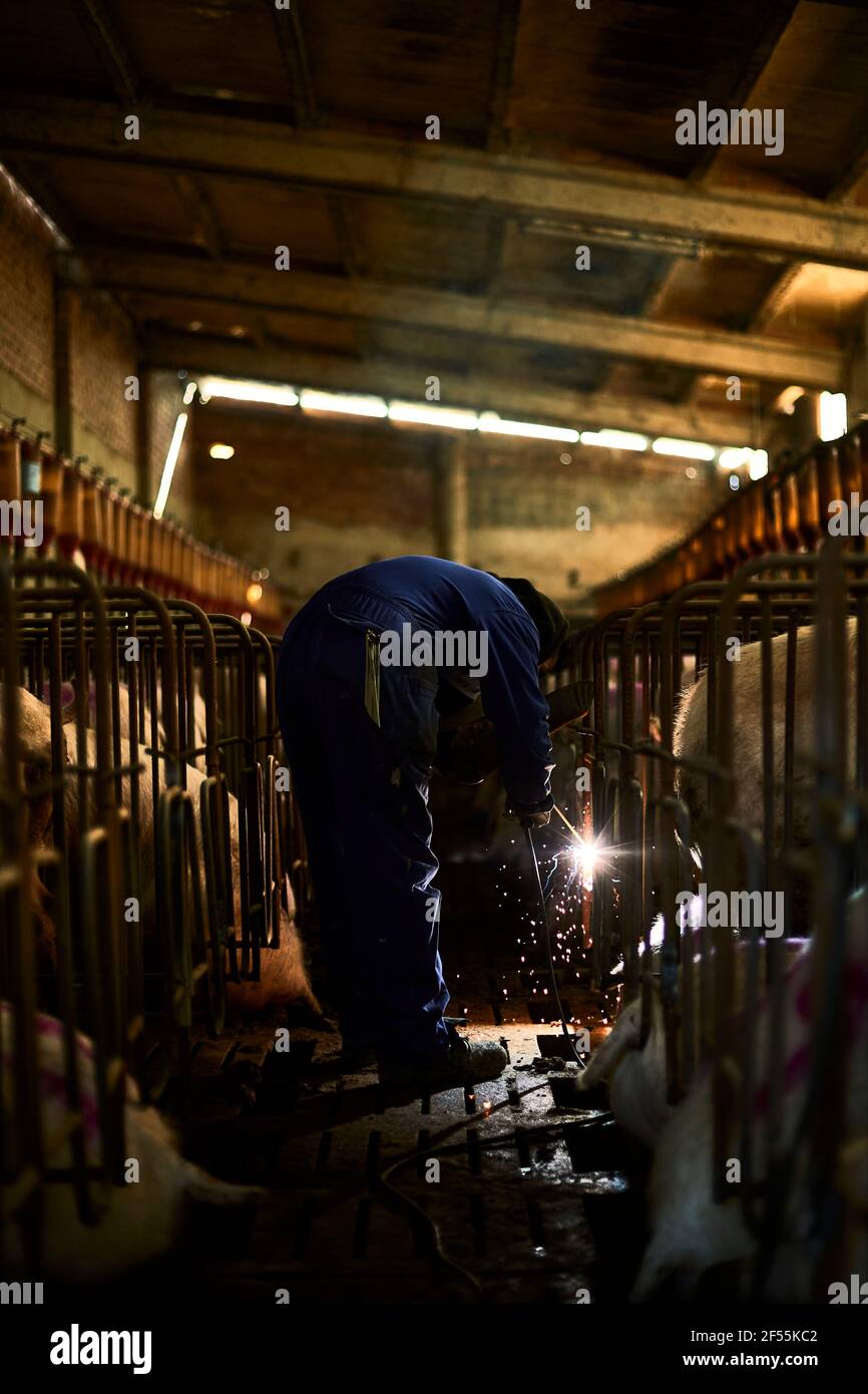 Pigpen hi-res stock photography and images - Alamy