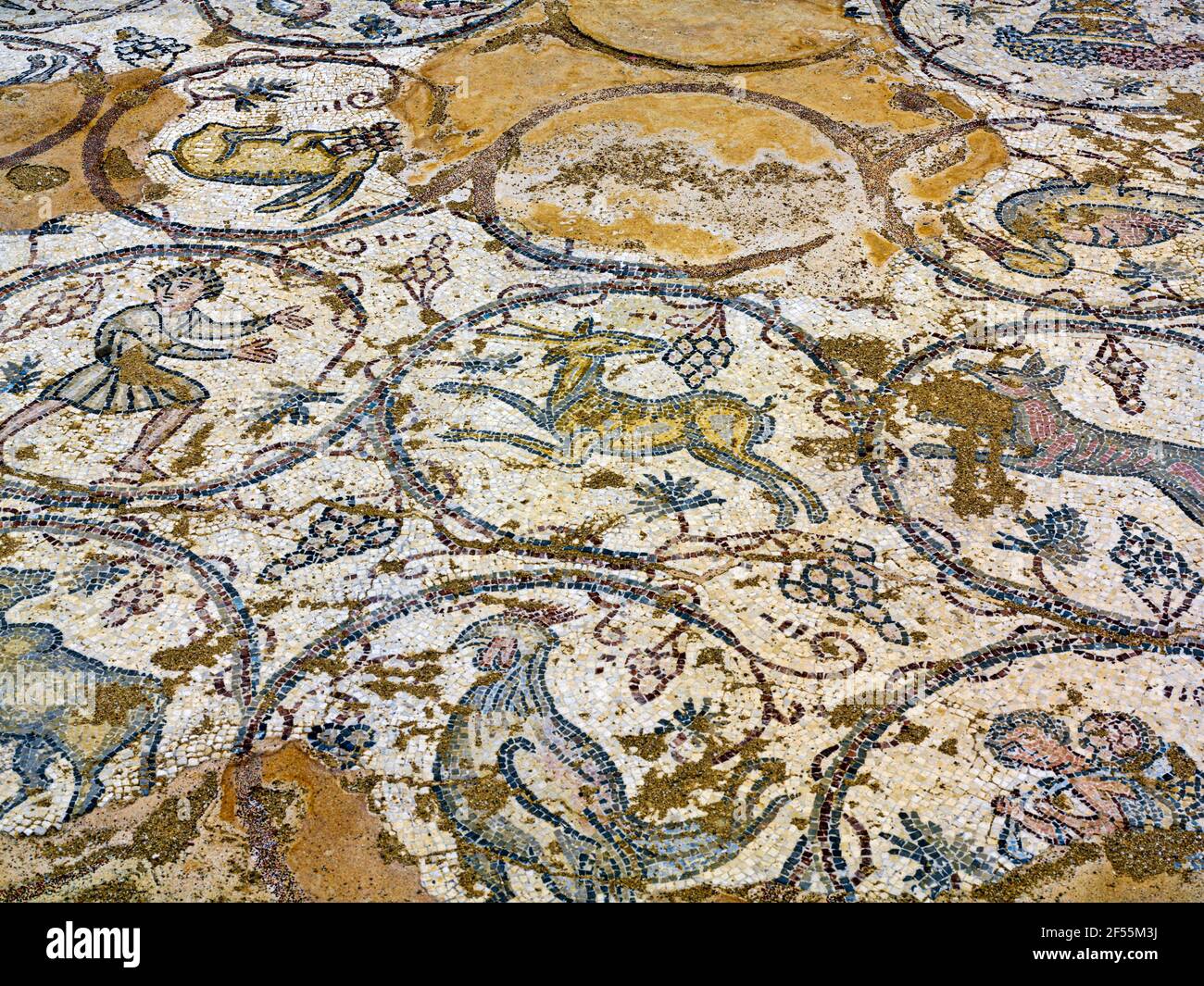 Mosaic tile floors hi-res stock photography and images - Alamy