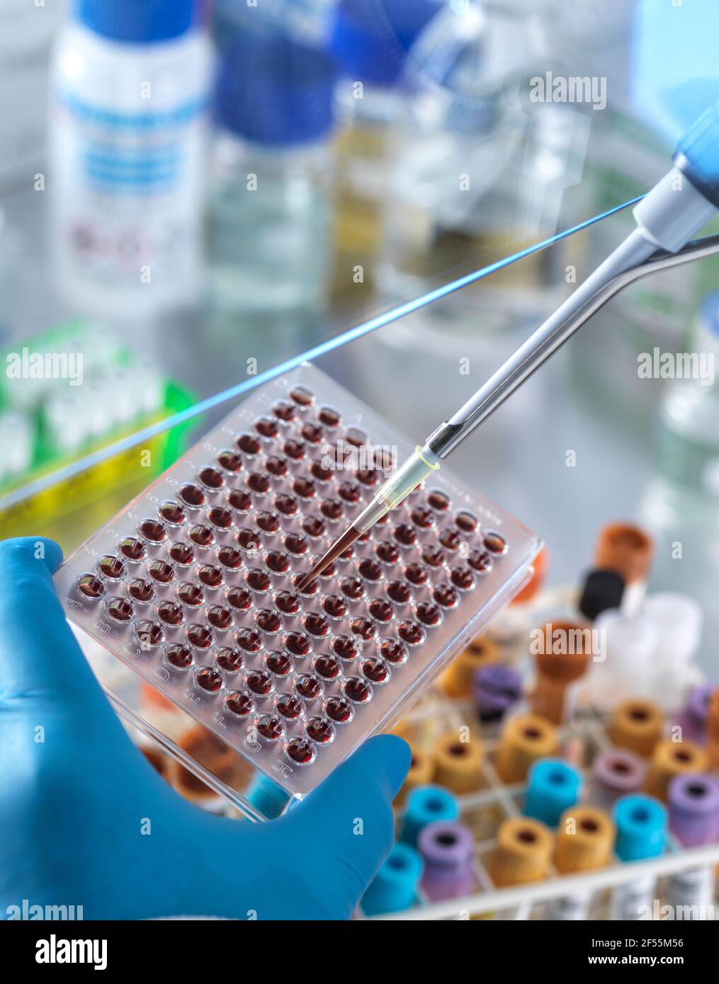 Male Scientist Pipetting Sample Test High Resolution Stock Photography ...
