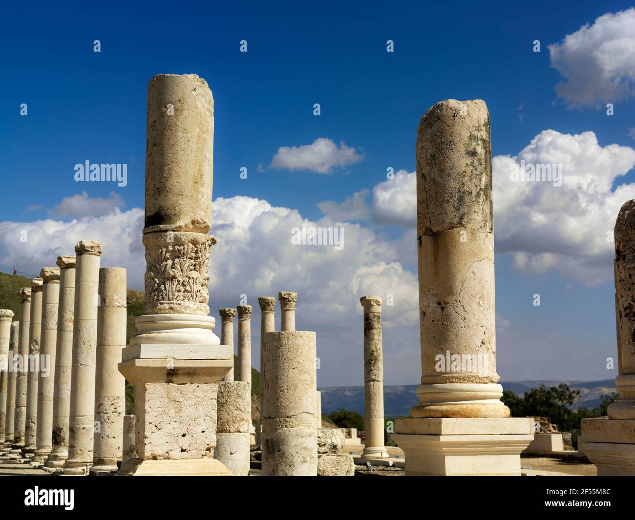 Palladius hi-res stock photography and images - Alamy