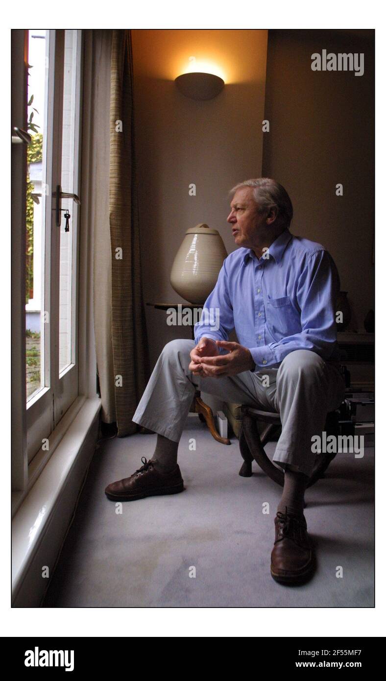 Sir David Attenborough at his home in Richmond.pic David Sandison 6/11 ...
