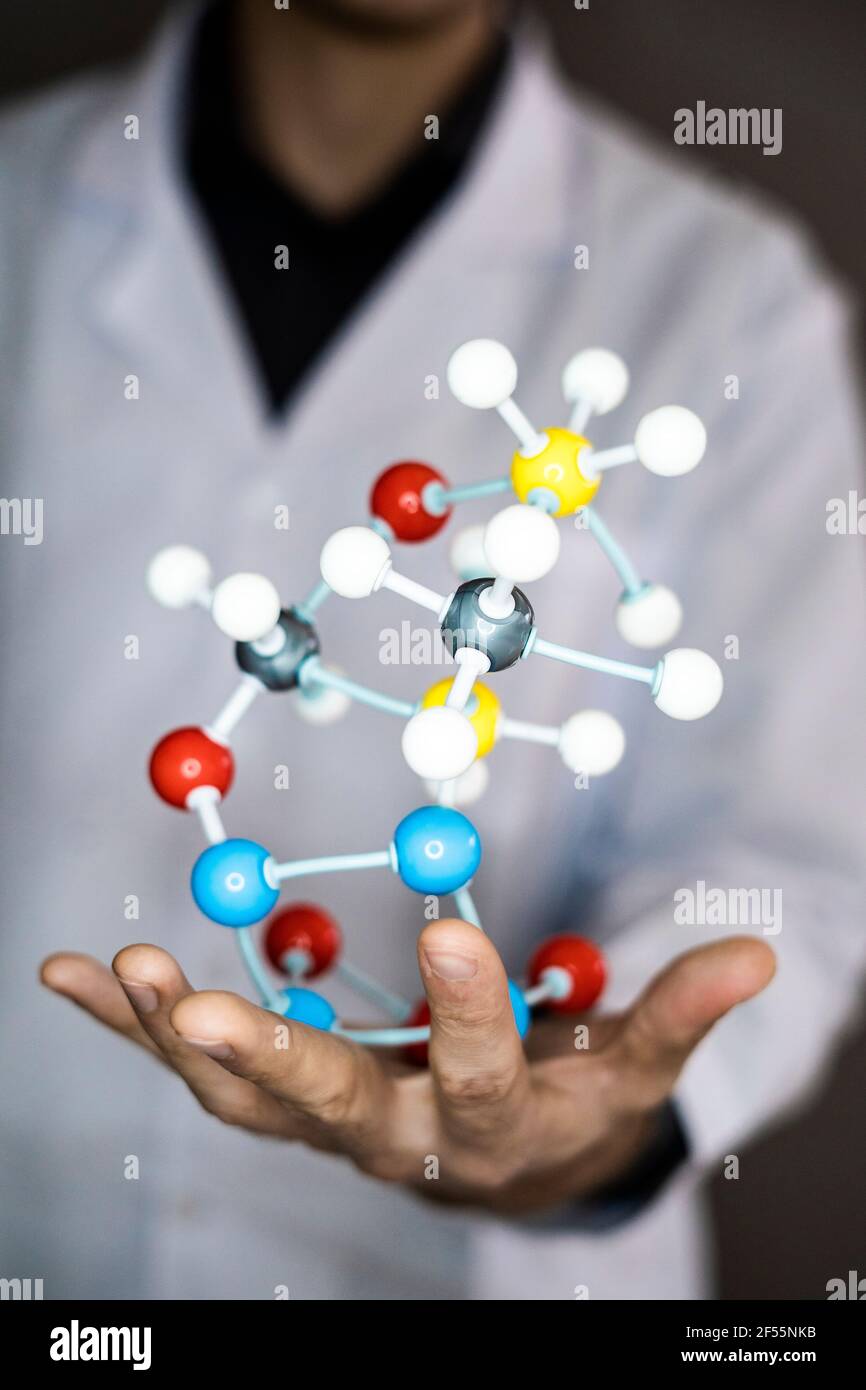Scientist holding molecular structure in hand at laboratory Stock Photo ...