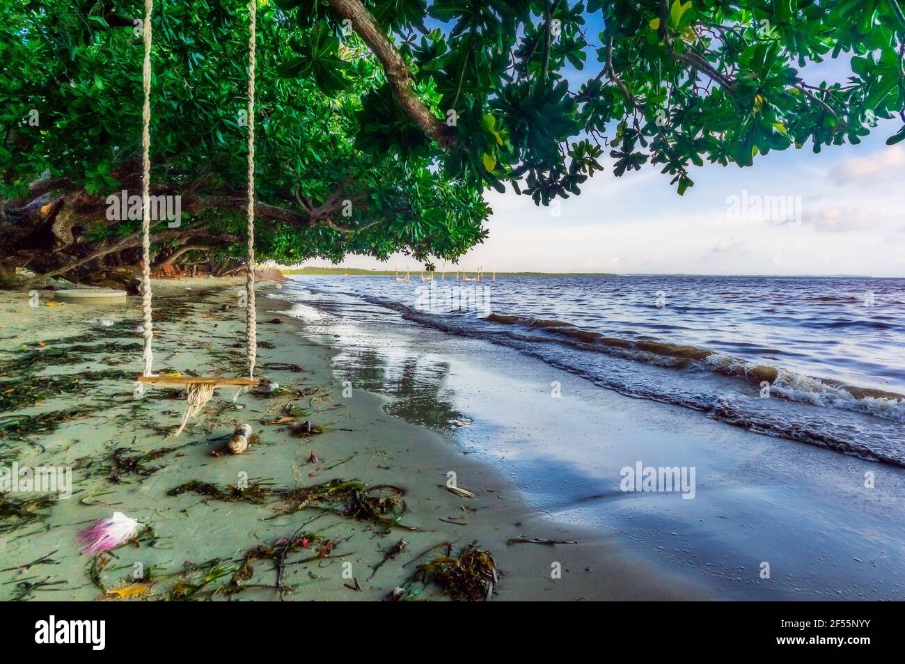 Empty tropical island beach hi-res stock photography and images - Alamy