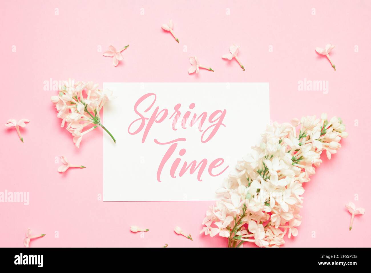 Spring time. White flower lilac branch and paper template blank on pink ...