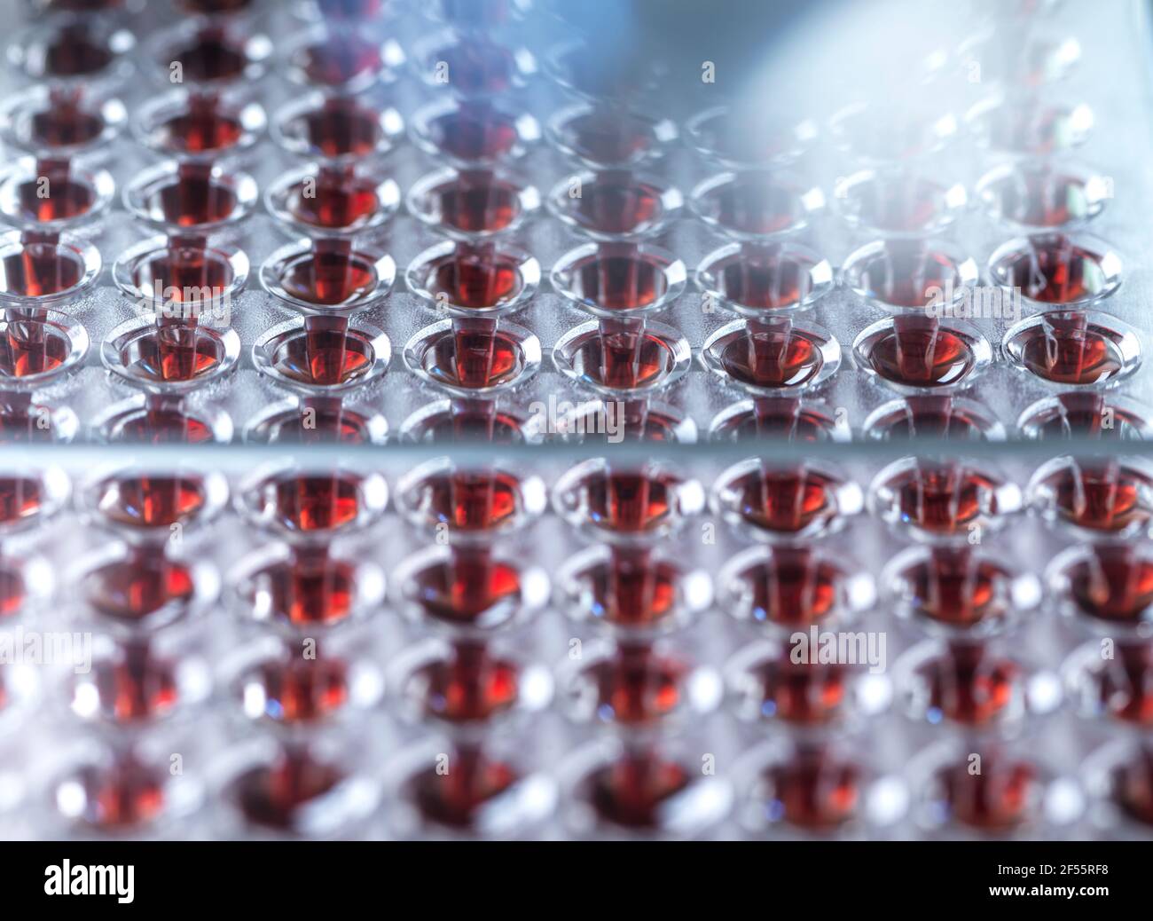 Blood samples held in multi well plate in lab Stock Photo - Alamy