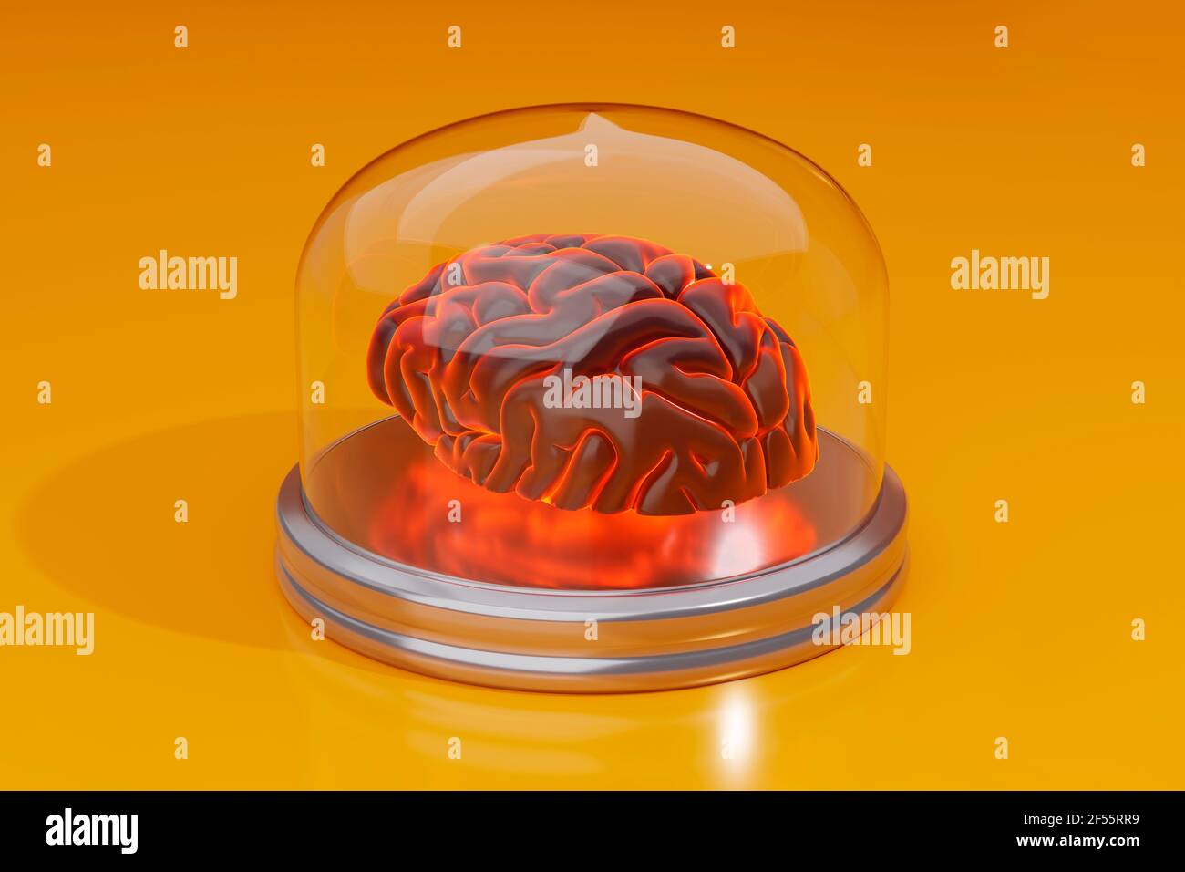 Human brain illustration colour hi-res stock photography and images - Alamy