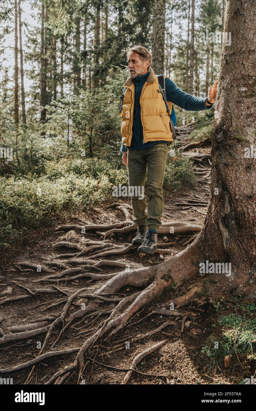 Man standing on roots of tree in forest at Salzburger Land, Austria ...