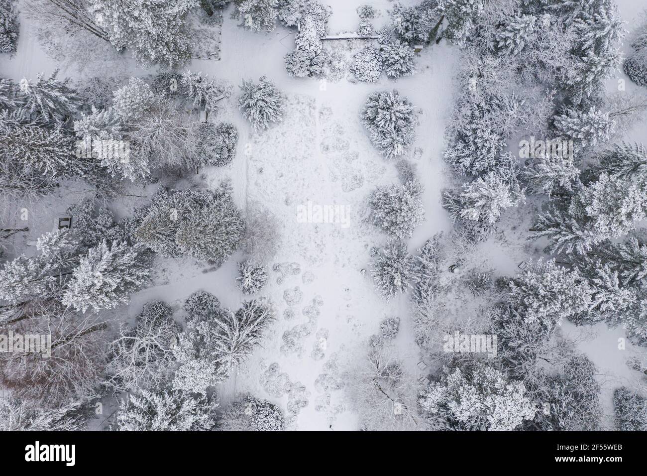 Birds eye view snow tree hi-res stock photography and images - Alamy