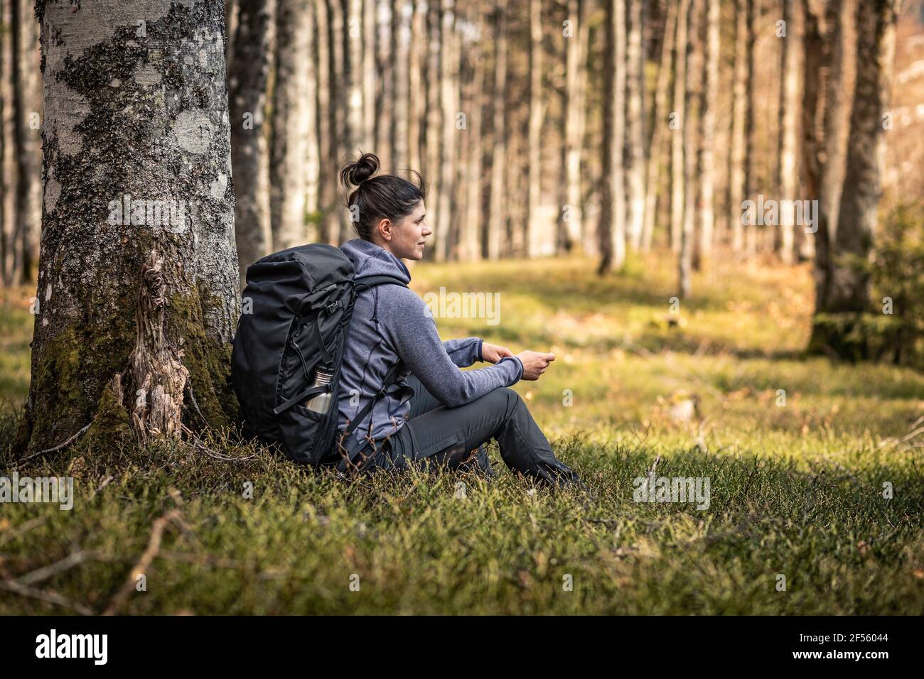 Backpacker resting while sitting under tree in forest Stock Photo - Alamy