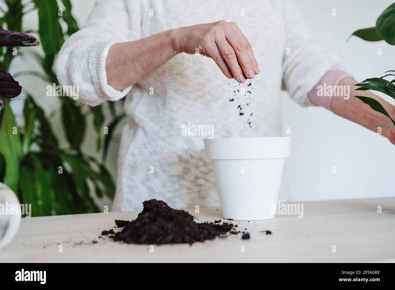 Sprinkling flower hi-res stock photography and images - Alamy