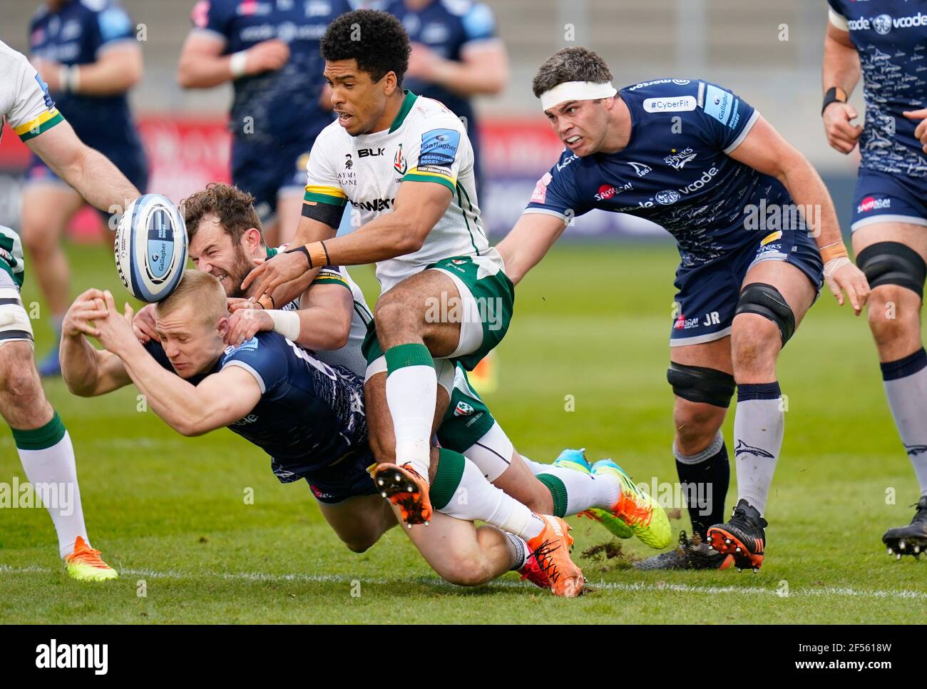 Reed stokes hi-res stock photography and images - Alamy