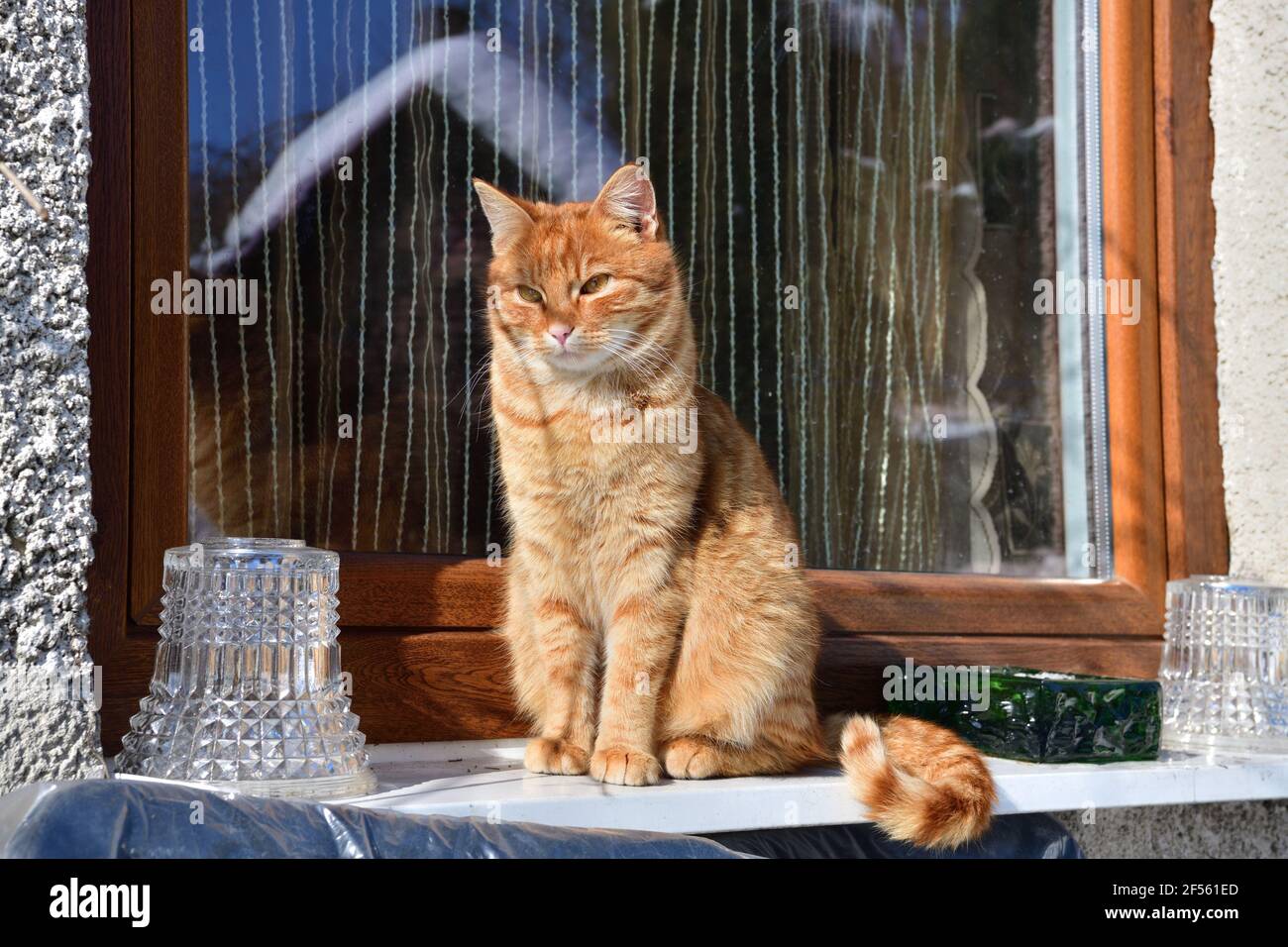 Enjoying the sun in the cottage hi-res stock photography and images - Alamy