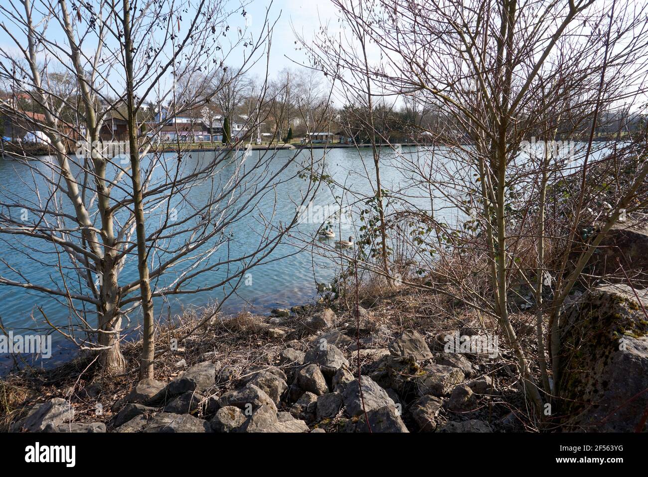 River with dry trees and stones on the background of buildings under ...