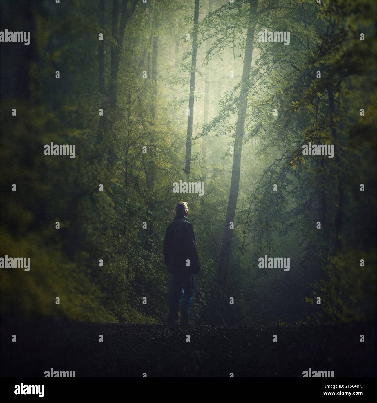Man foggy forest hi-res stock photography and images - Alamy