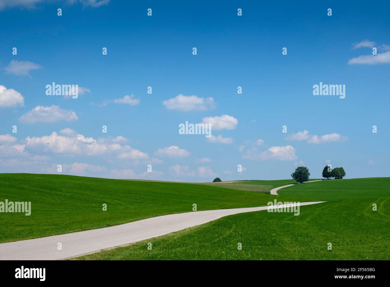 Germany, Bavaria, Degerndorf, Road through rural landscape Stock Photo ...