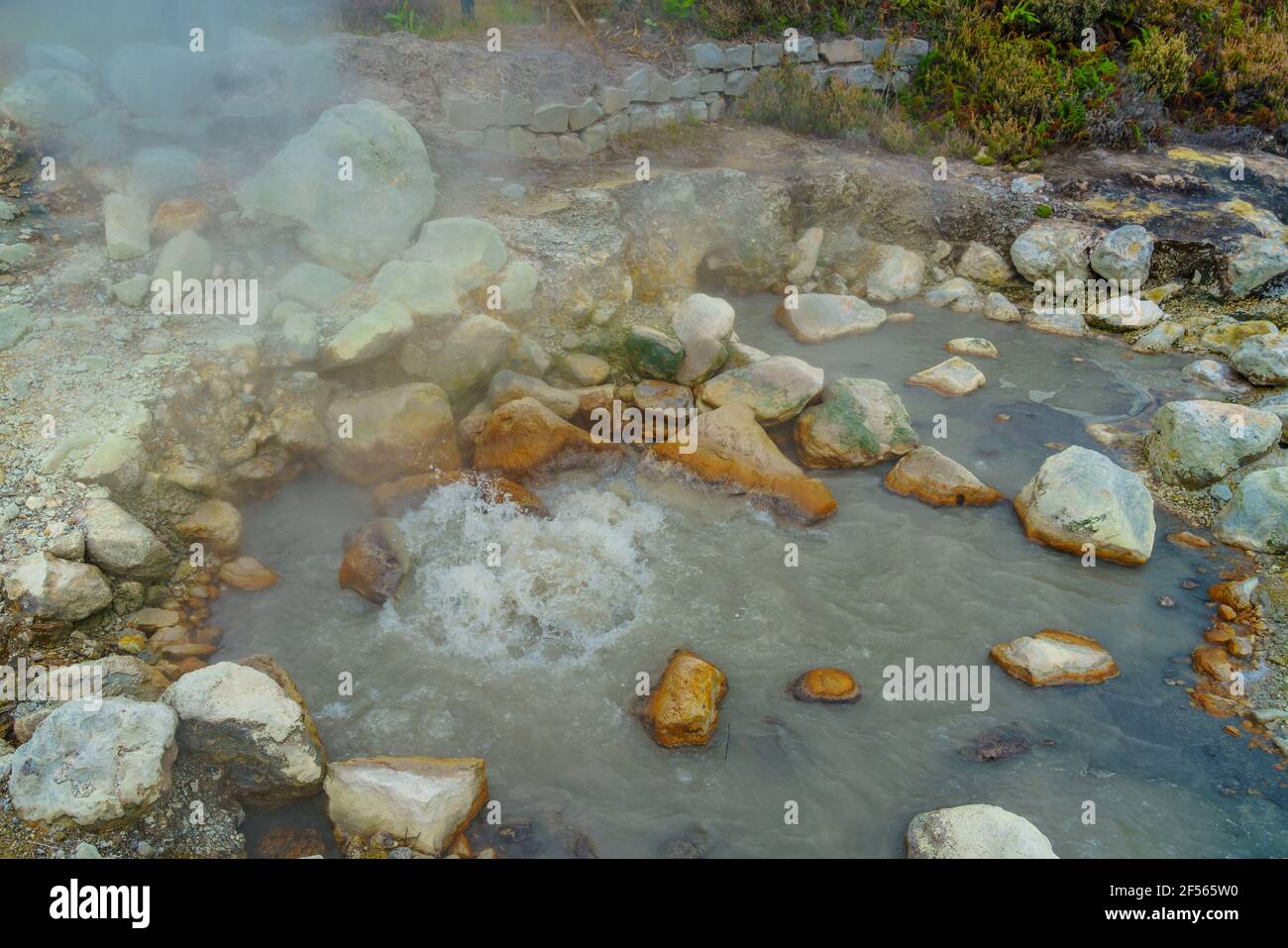 Hotsprings Of The Lake Furnas. Sao Miguel, Azores. Lagoa das Furnas ...