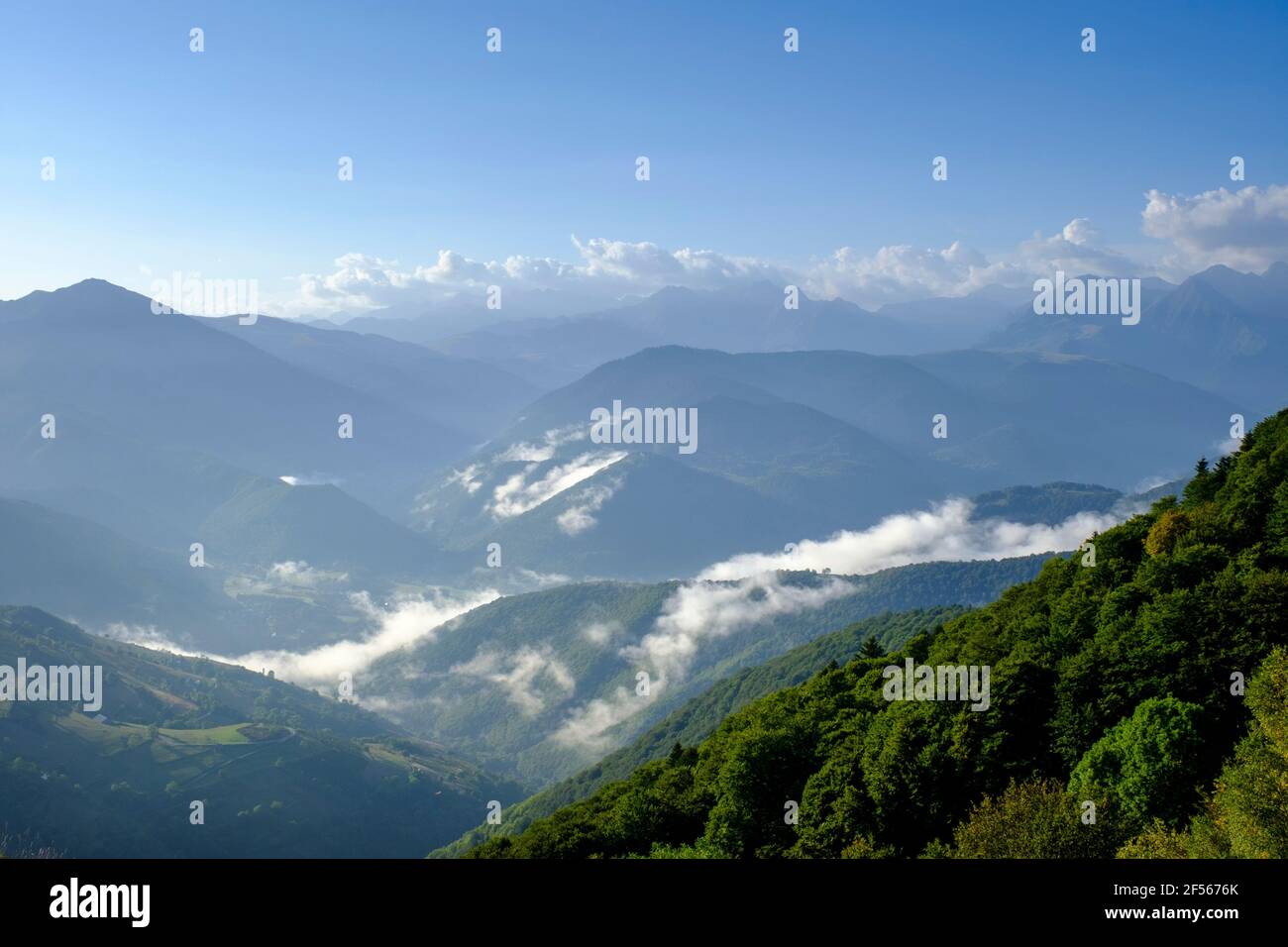 Daspin hi-res stock photography and images - Alamy