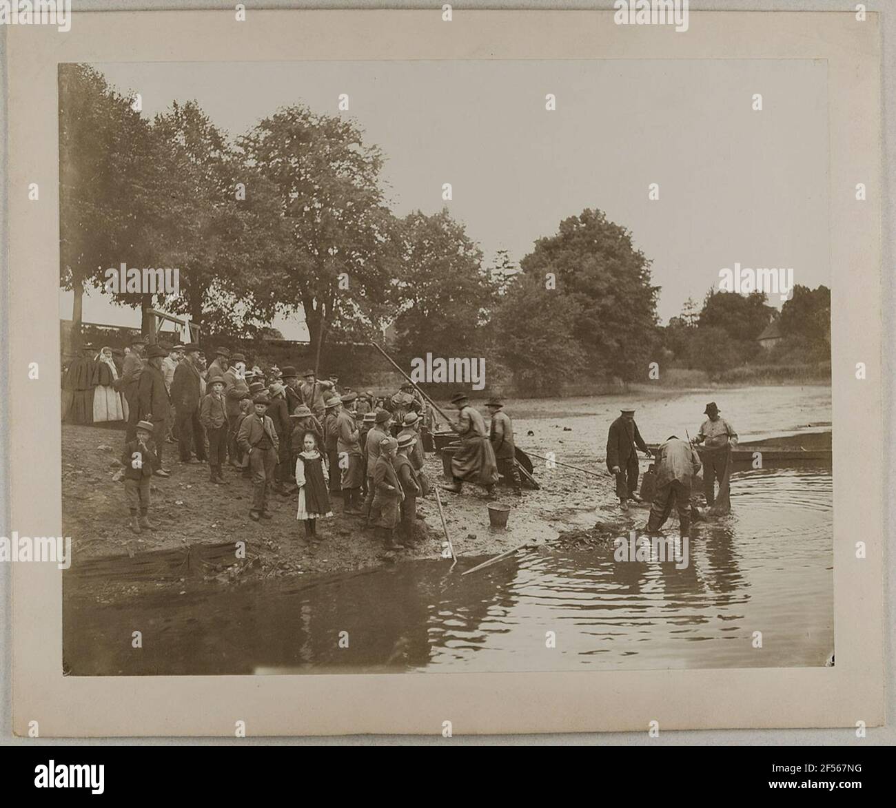 Slony hi-res stock photography and images - Alamy