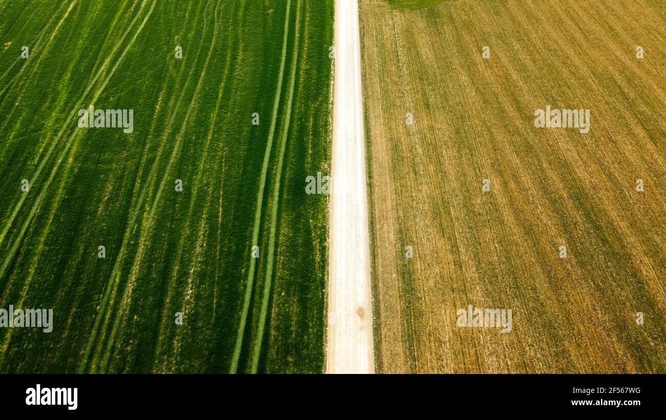Empty dirt road amidst green agricultural land Stock Photo - Alamy