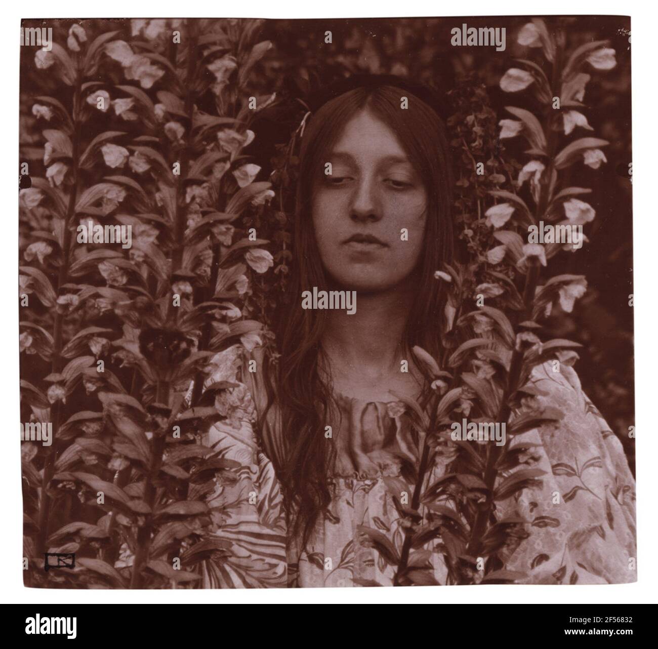 Typical zeitgeist hi-res stock photography and images - Alamy