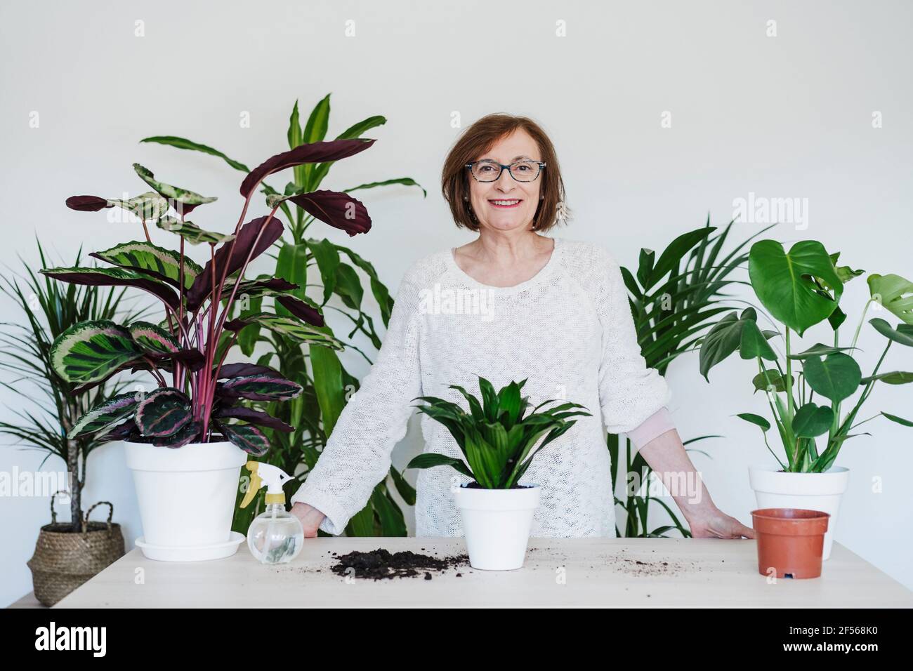 Woman standing in plantation hi-res stock photography and images - Alamy