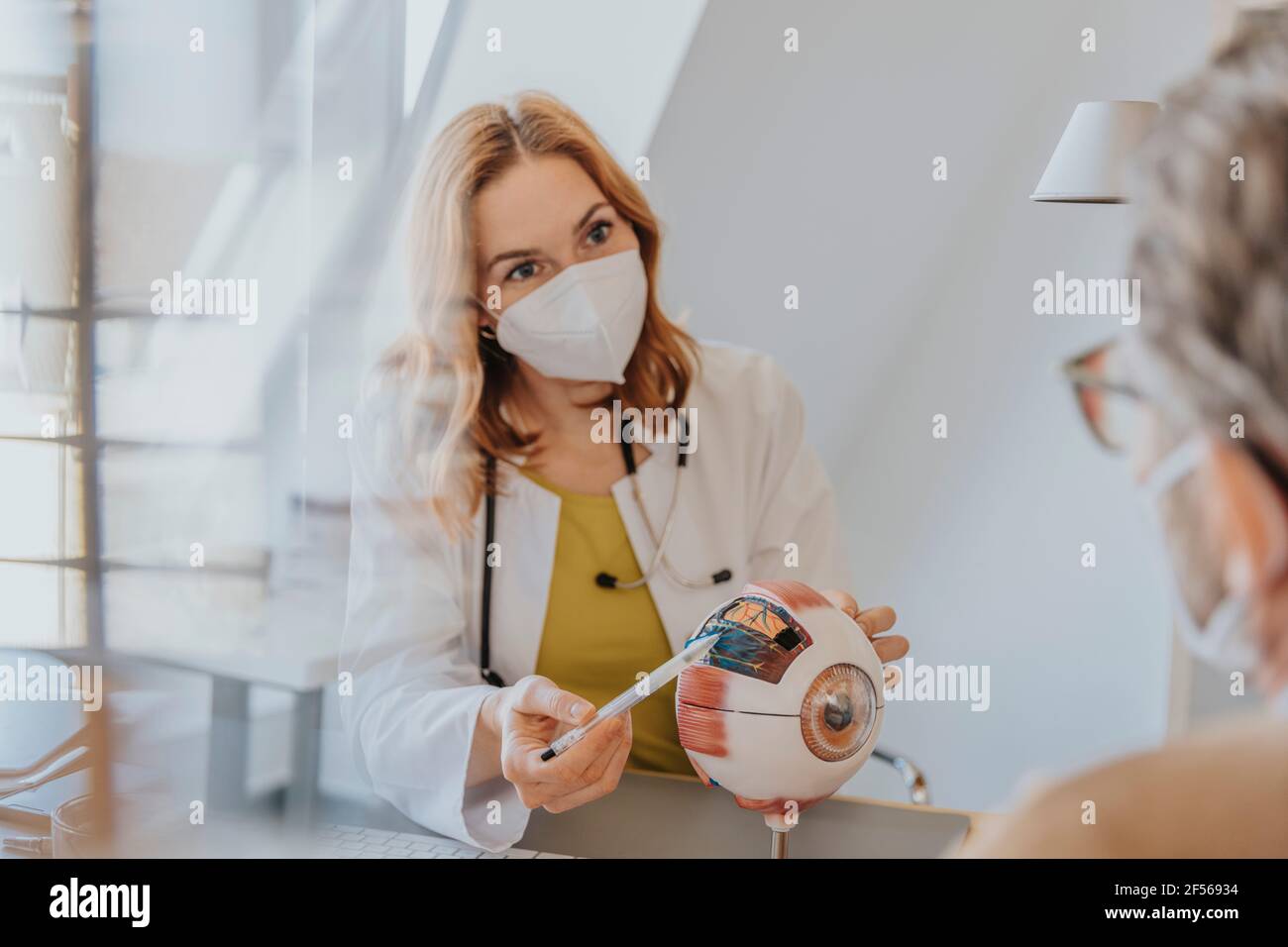 Human eye model hi-res stock photography and images - Alamy