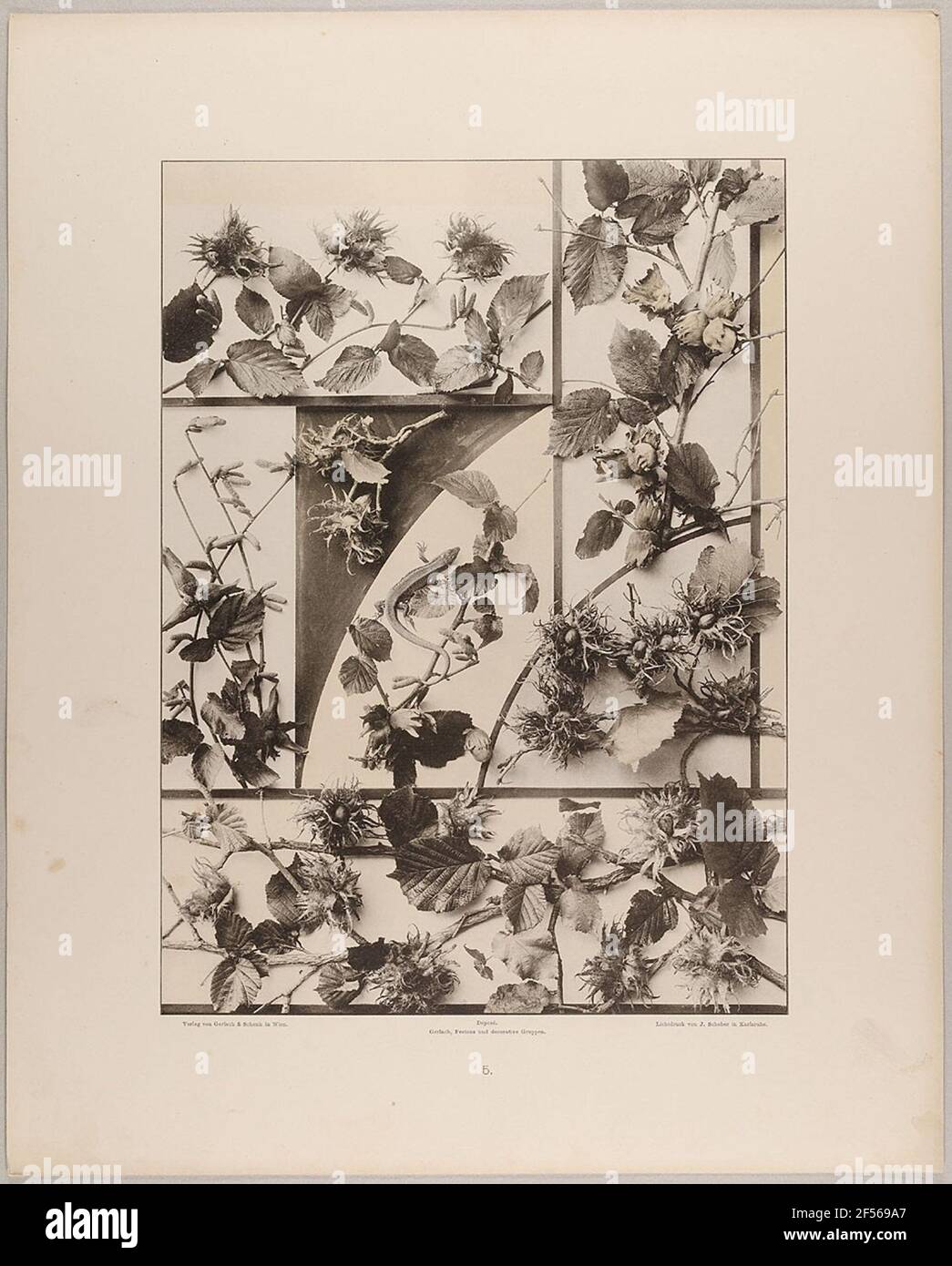 5. Friesal and fillings from hazelnut with lizard. State state plan ...