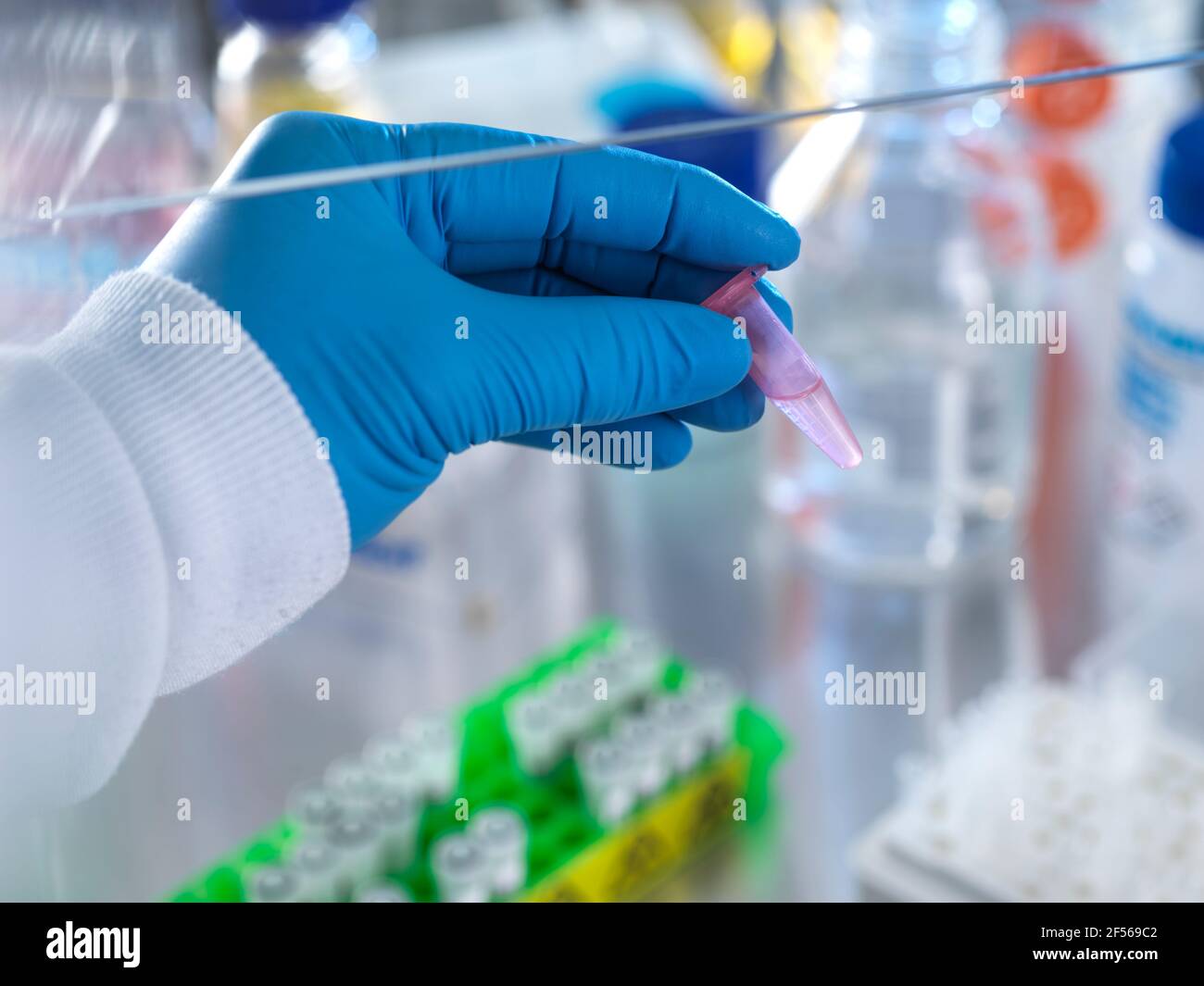 Male scientist holding vial containing chemical formula ready for ...