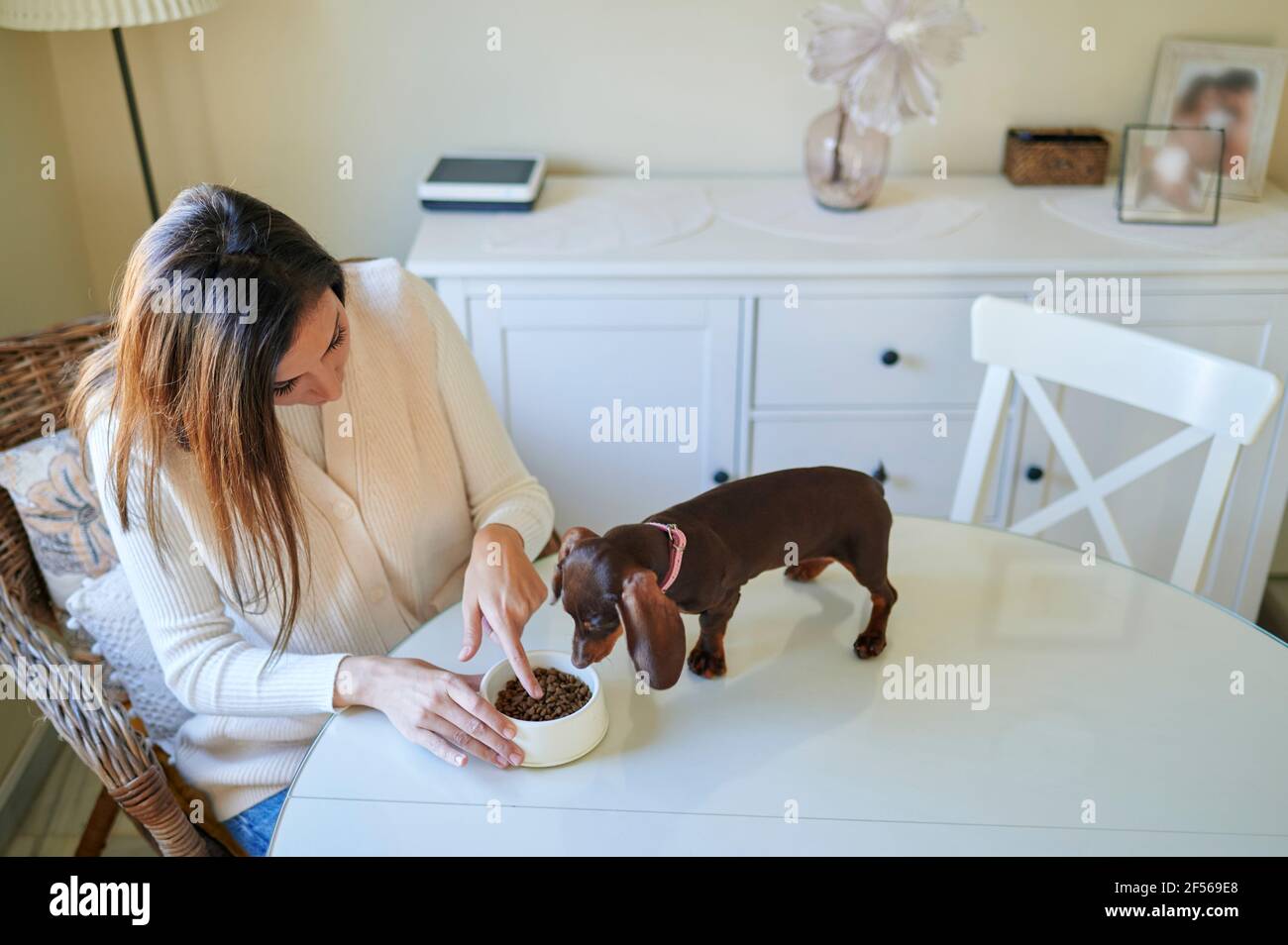 Giving food to dog hi-res stock photography and images - Alamy