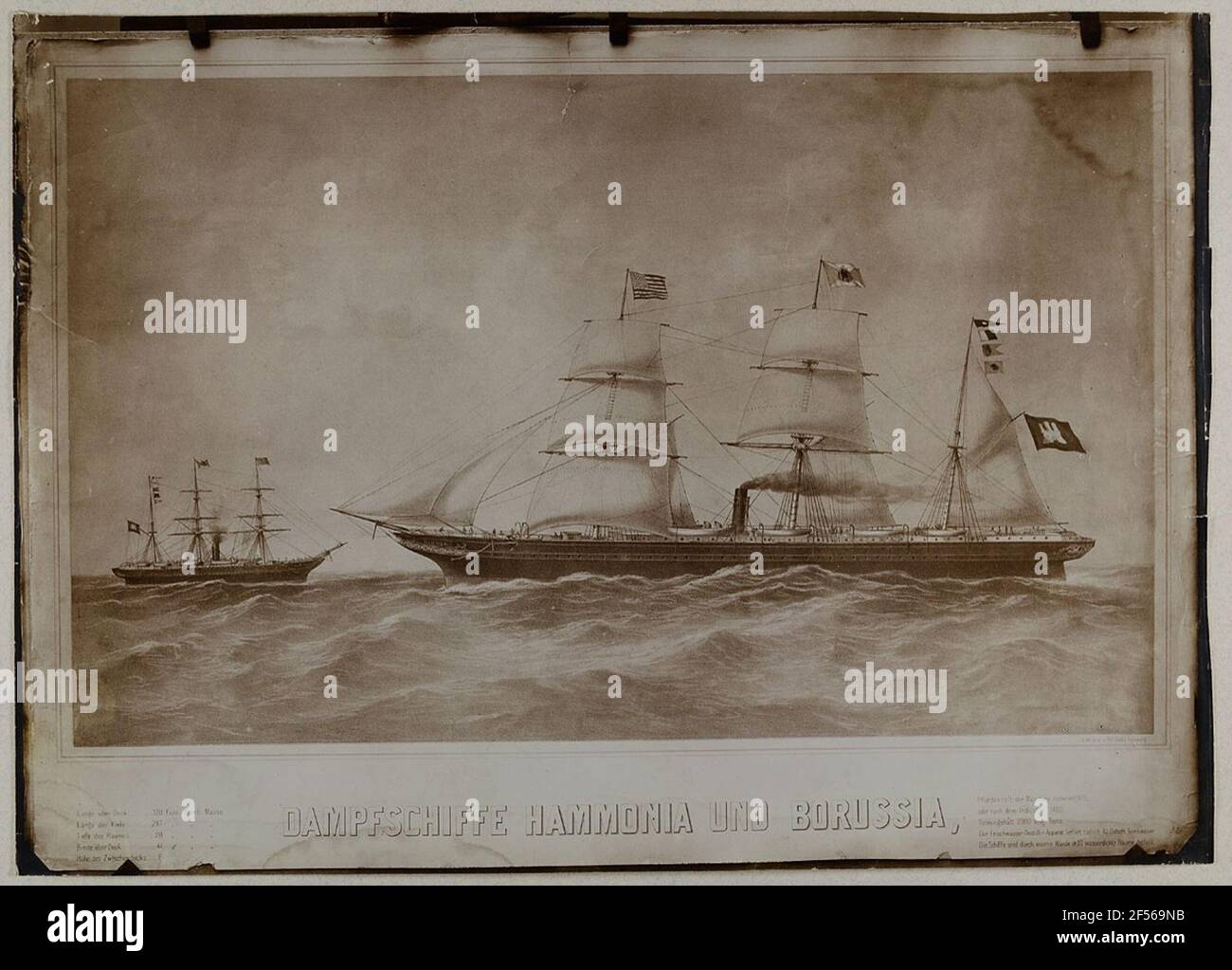 Hammonia hi-res stock photography and images - Alamy