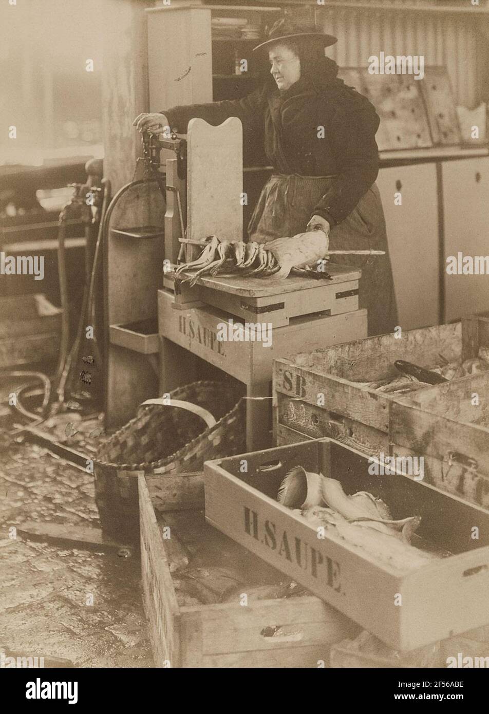 Fish auction hall hamburg hi-res stock photography and images - Alamy