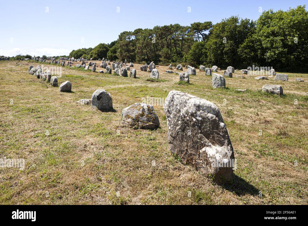 Some of the more than 3000 standing stones from the Neolithic era at ...