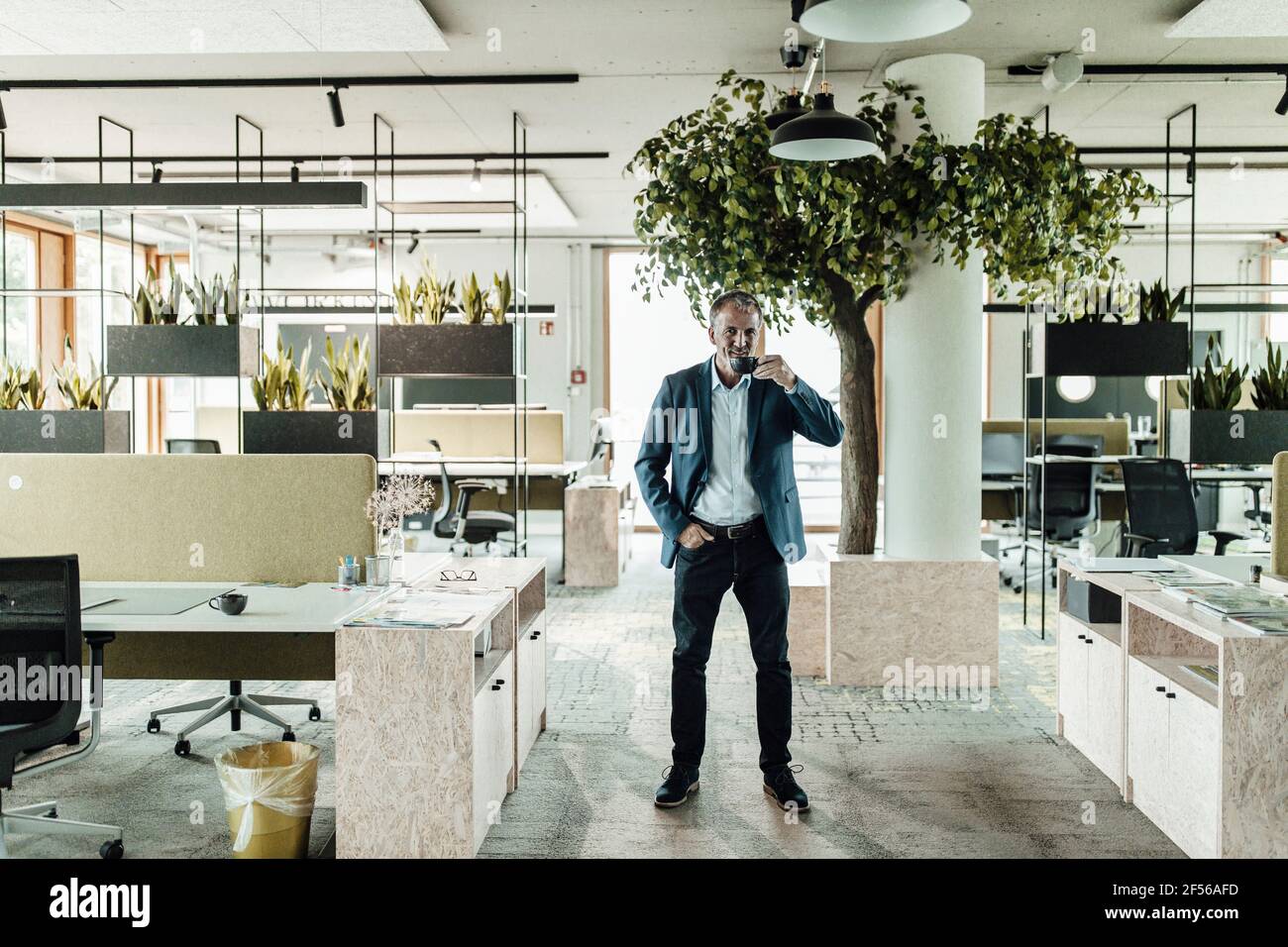 Tree office hi-res stock photography and images - Alamy