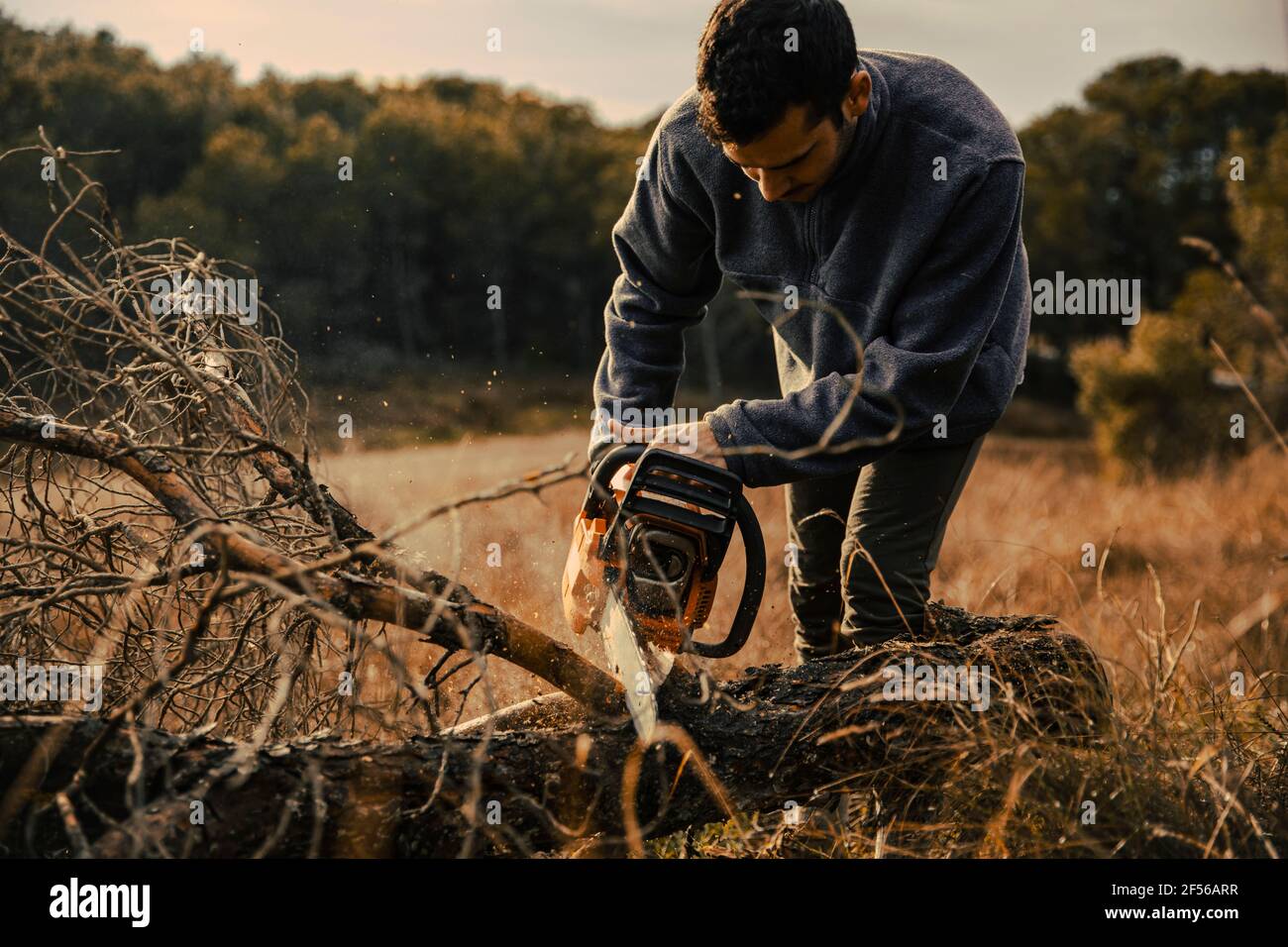 Teenage boy cutting wood with chainsaw in forest Stock Photo - Alamy