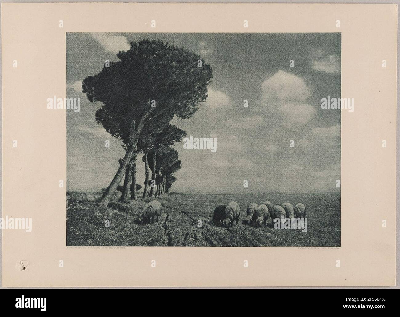 Campagna di Roma. Heliogravure from Camera Work No. 13, 1906 ...