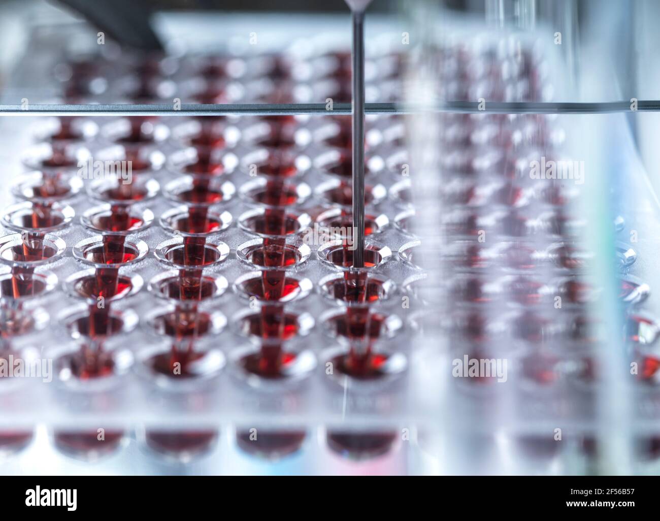 Trial plate hi-res stock photography and images - Alamy