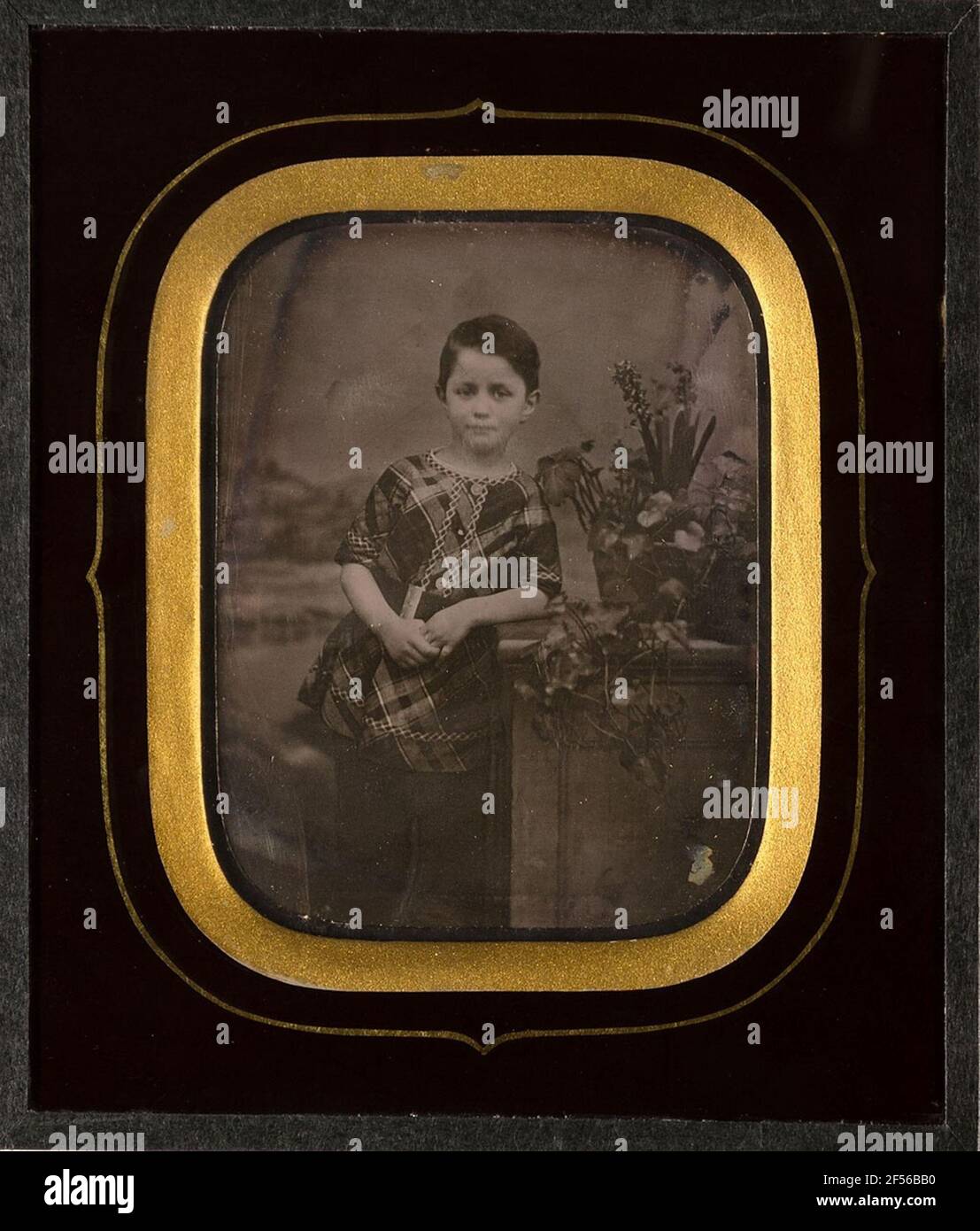 Alexander haller hi-res stock photography and images - Alamy