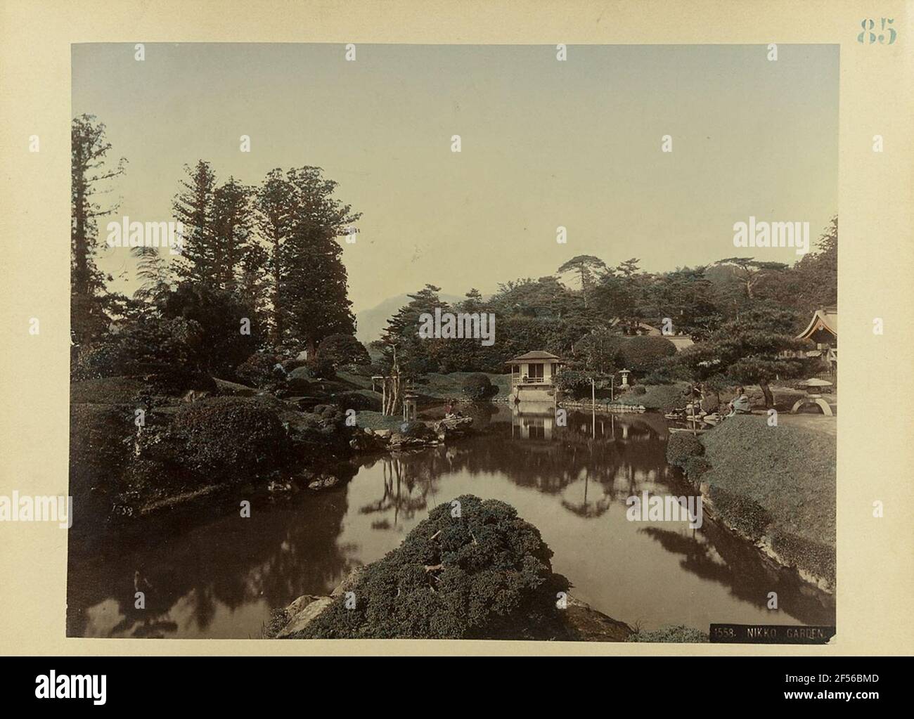 No 1558 nikko garden hi-res stock photography and images - Alamy