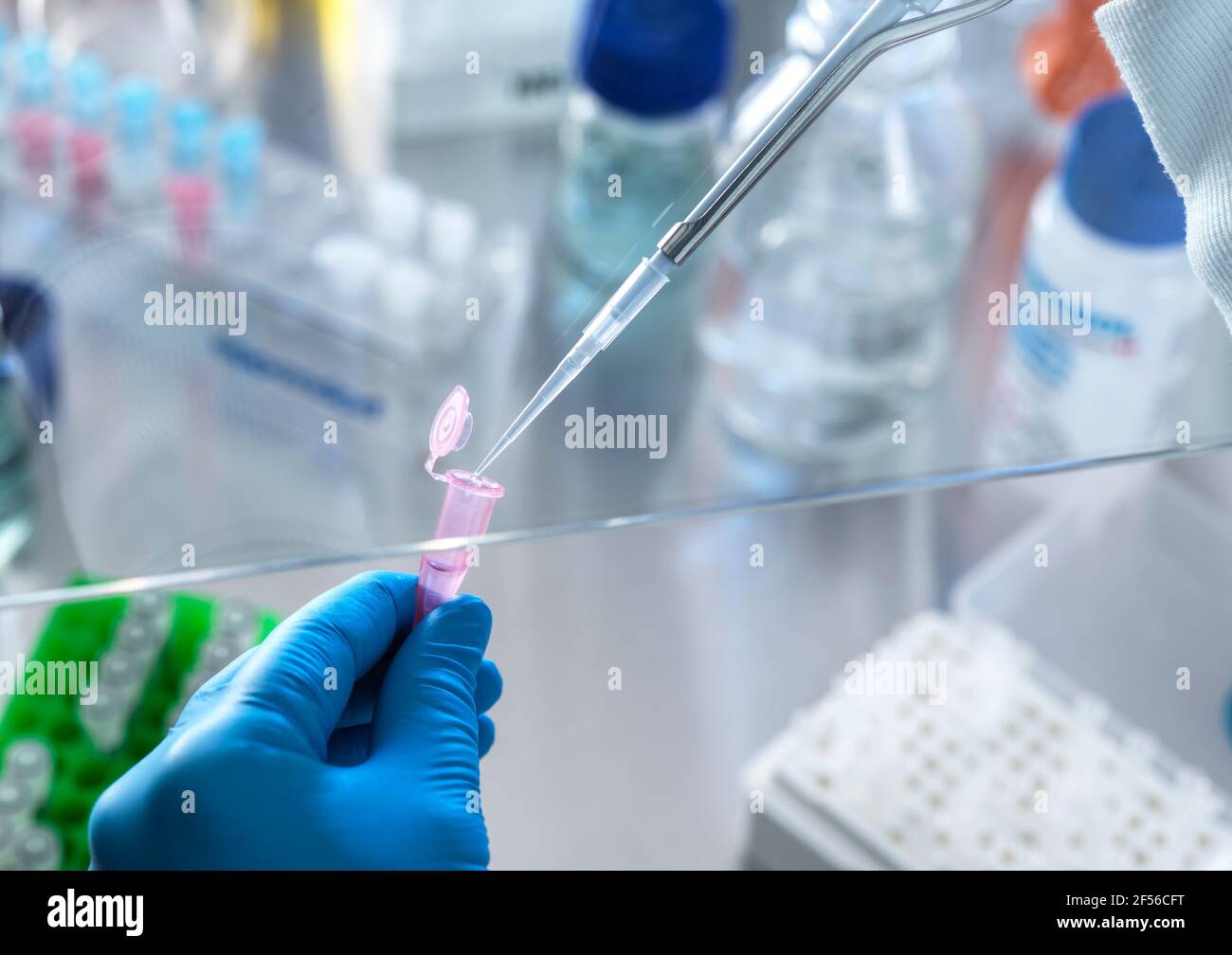Scientist using pipette while doing research in laboratory Stock Photo - Alamy