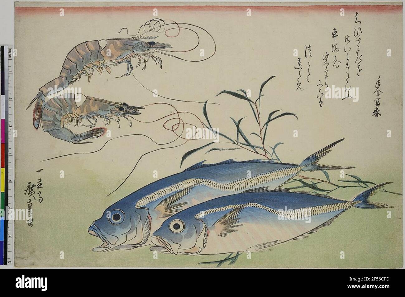Aji fish and shrimp, from the series: fish and seafood Stock Photo - Alamy