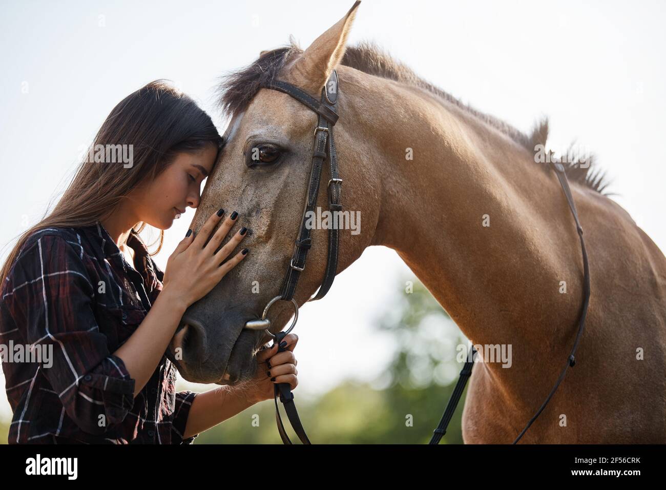Tenderness, love and animals concept. Sensual young woman touching ...