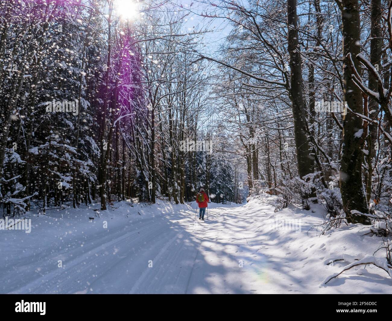 Black person hiking in winter hi-res stock photography and images - Alamy