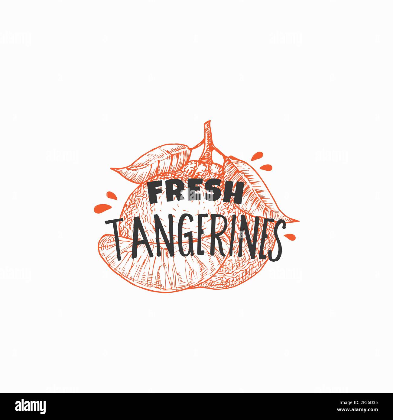 Juicy Fresh Tangerines Badge, Label or Logo Template. Hand Drawn Fruit ...