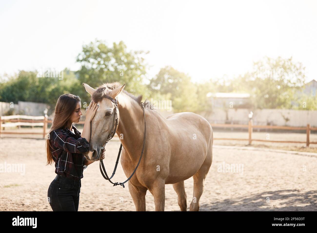 Young female horse owner taking a walk with an animal on a farm or ...
