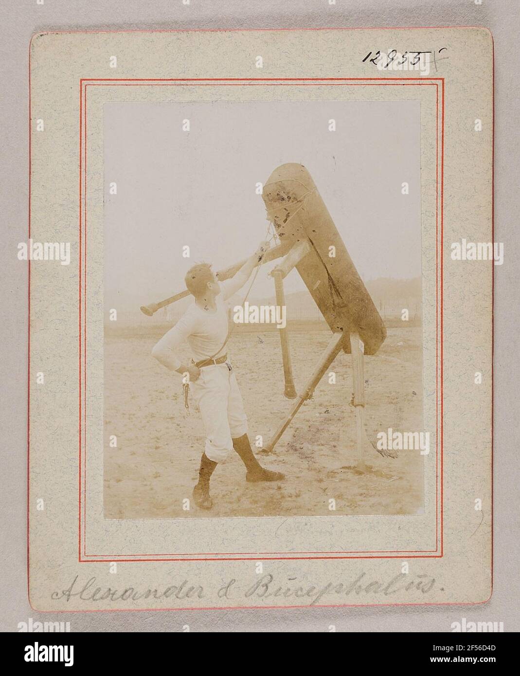 Bucephalus hi-res stock photography and images - Alamy